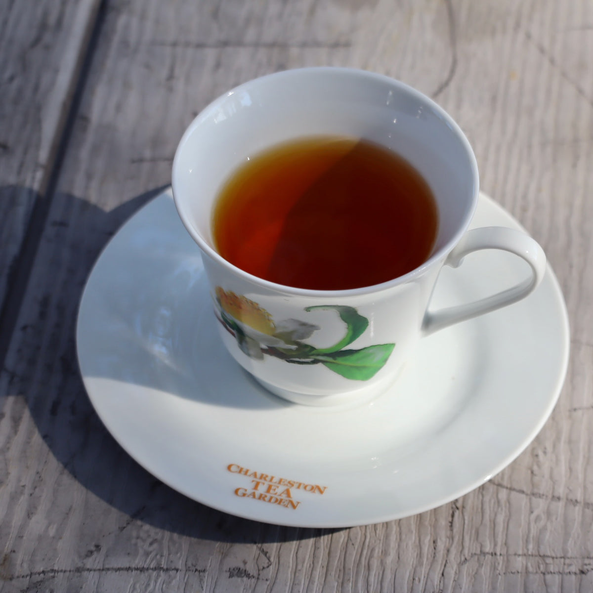 Charleston Tea Garden Cup and Saucer | Unique Tea Gifts