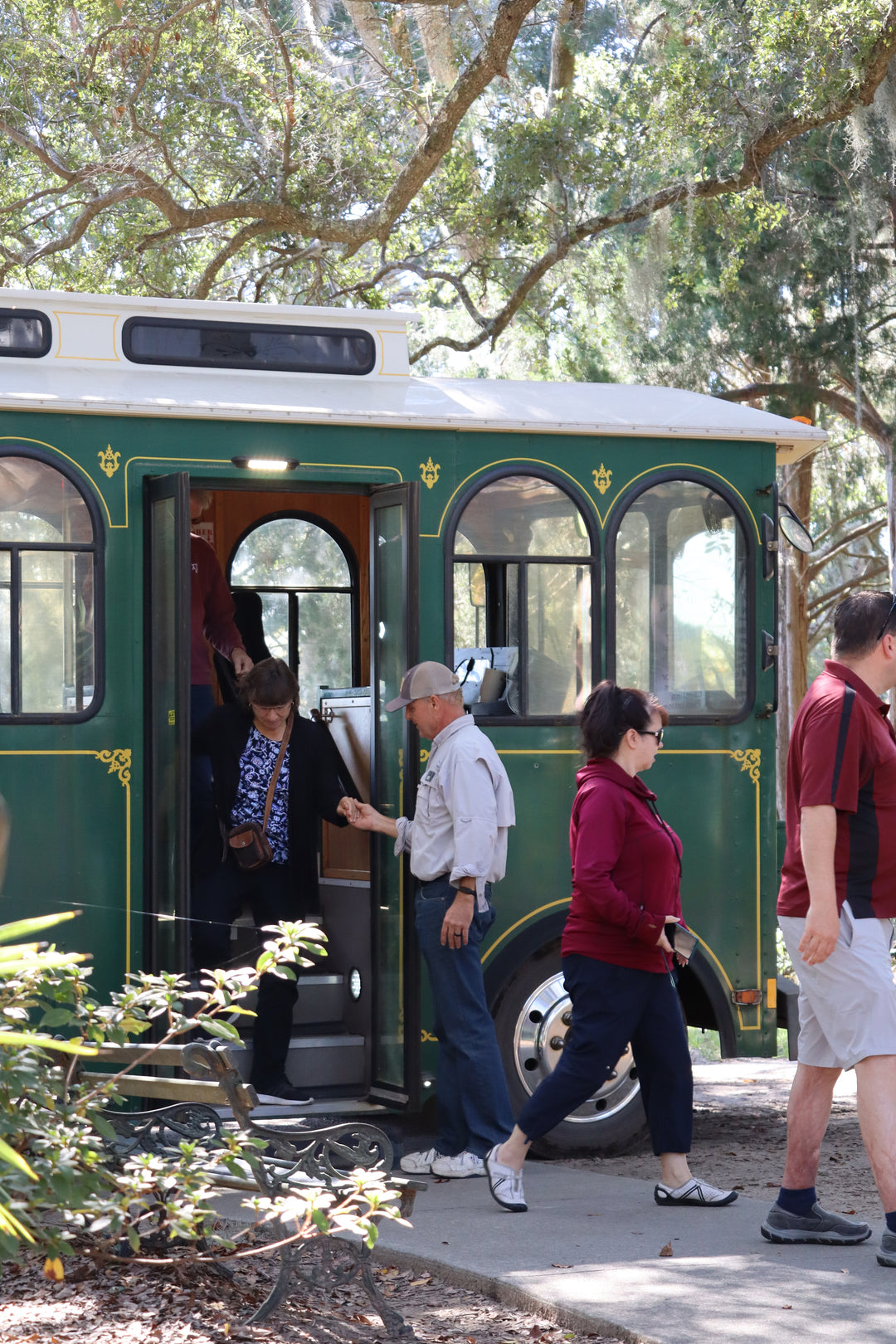 Charleston Tea Garden Tours | Things to Do in Charleston