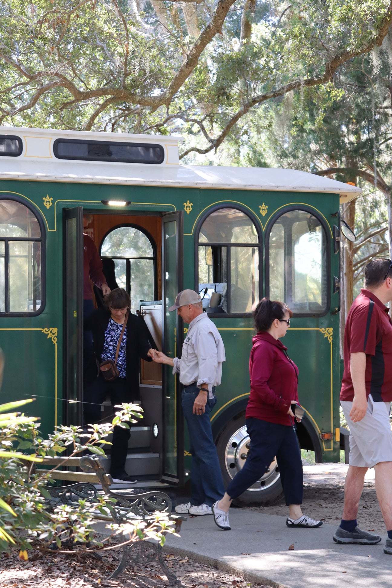 Charleston Tea Garden Tours | Things to Do in Charleston
