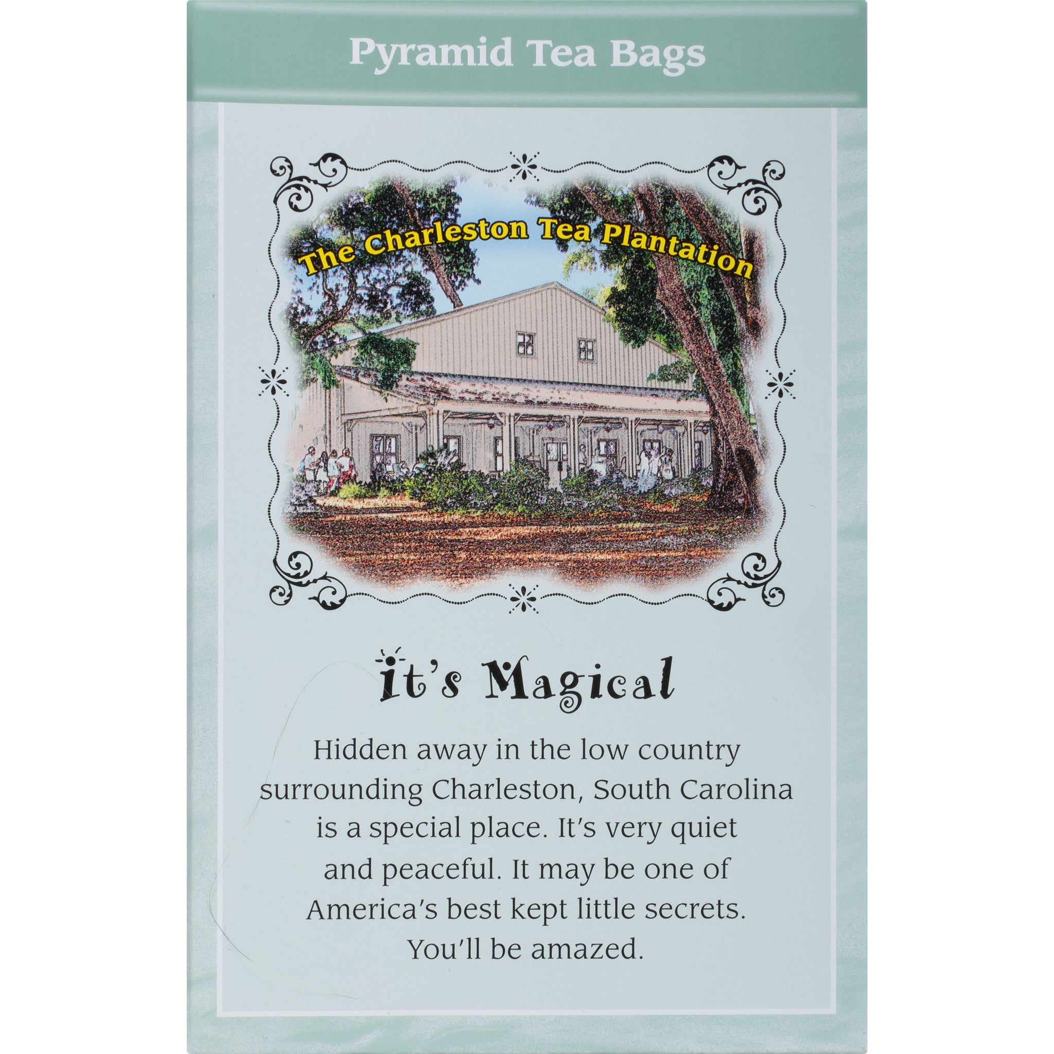 Carolina Mint Pyramid – Charleston Tea Garden